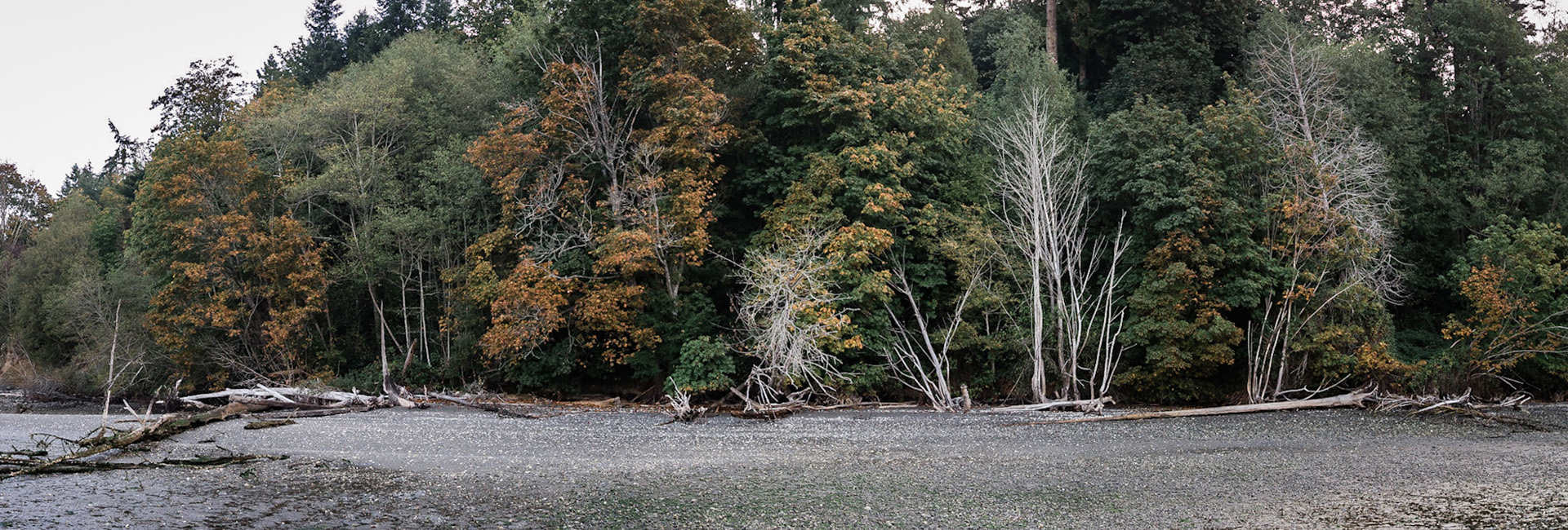 Bainbridge Island Land Trust | Island people protecting island places