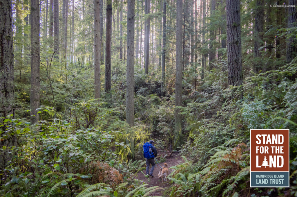 Grand Forest East - Bainbridge Island Land Trust