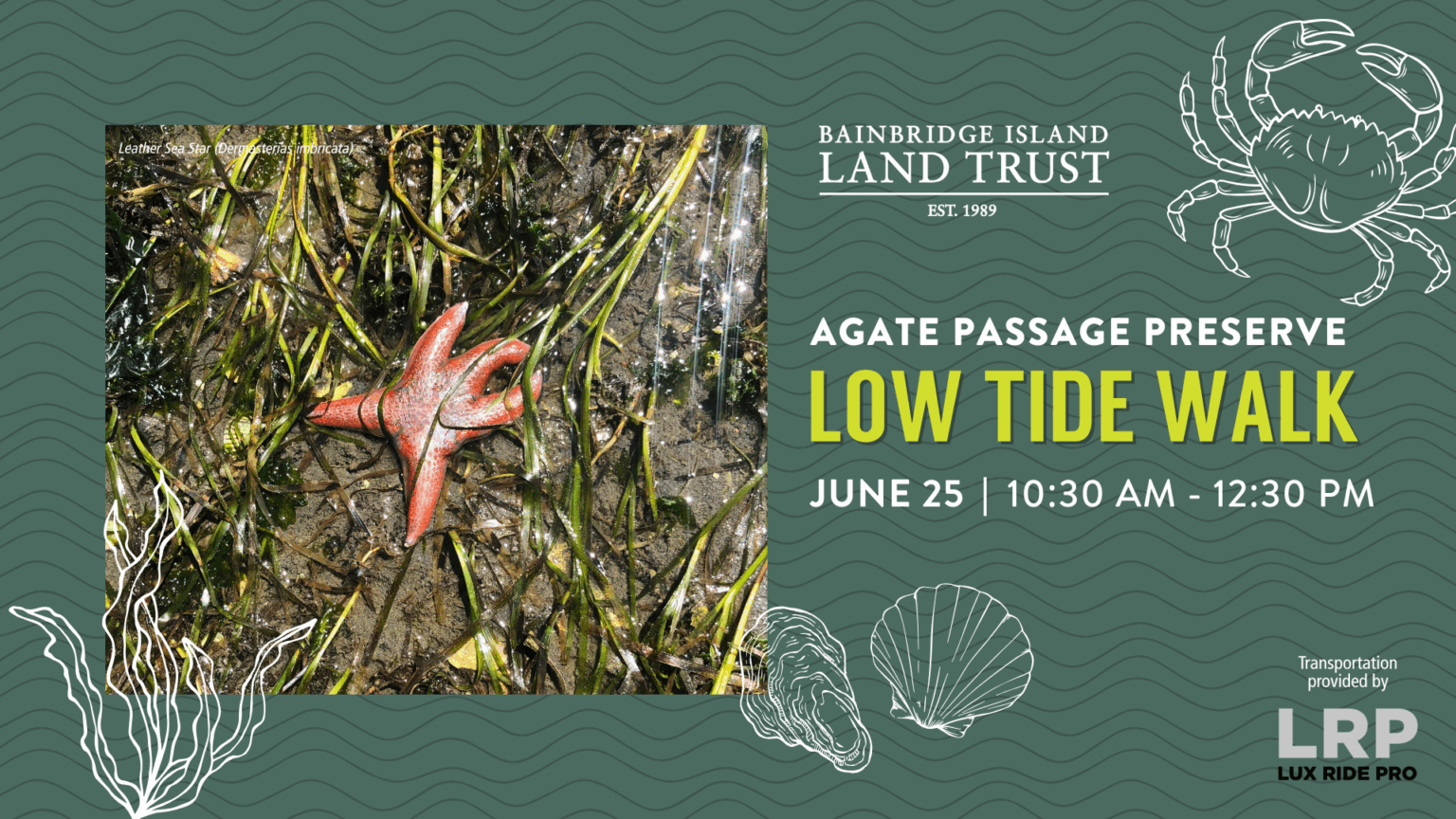 Low Tide Walk - Bainbridge Island Land Trust